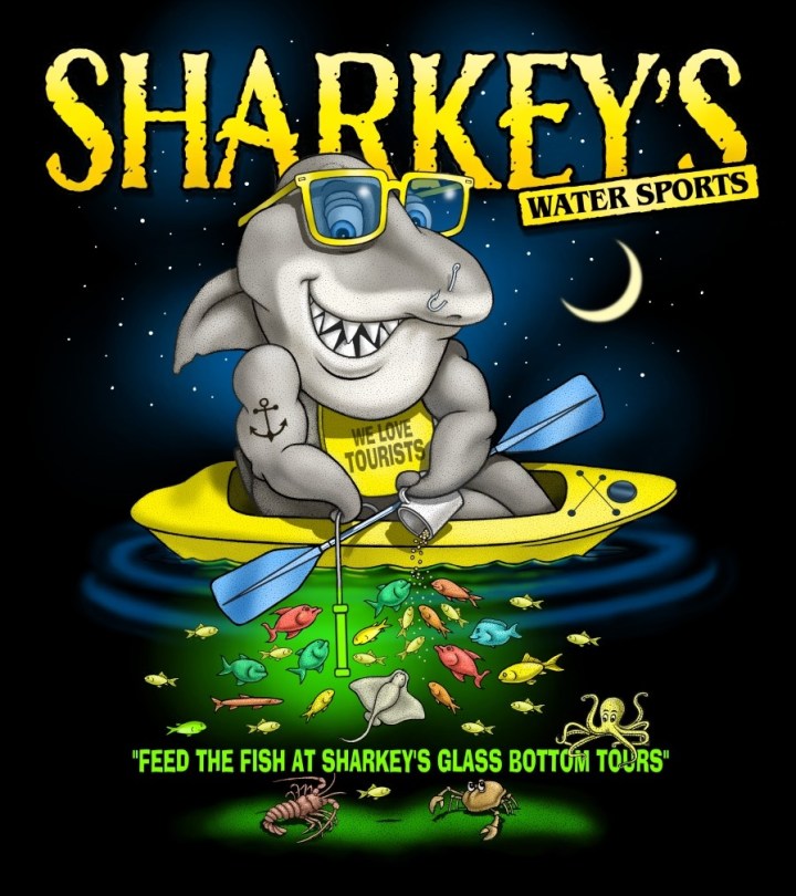 Sharkey's Glass Bottom Fish Feeding Tours| Kayak Tours in Florida