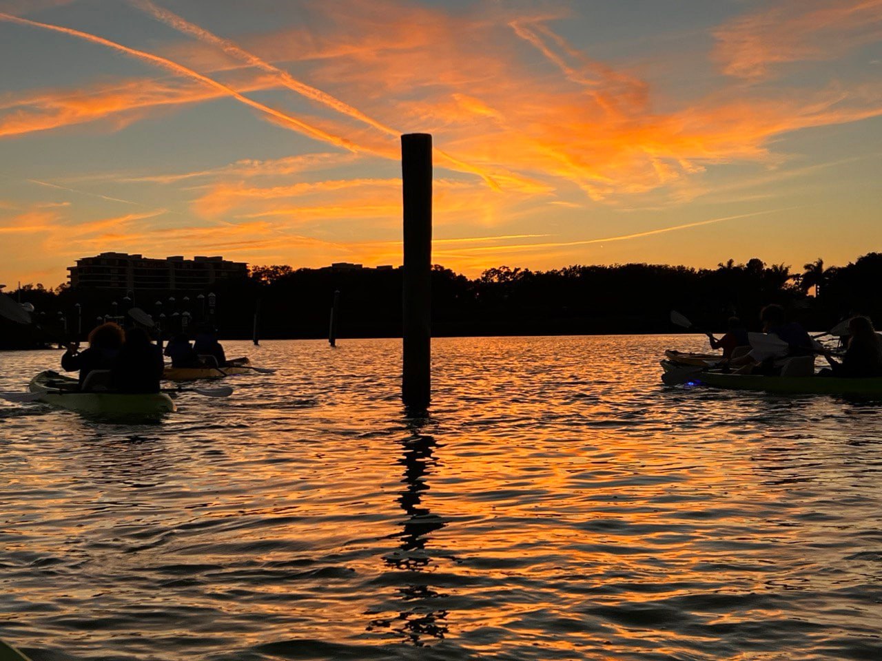Glass Bottom Fish Feeding Night Tours Clearwater Beach | Sharkey's ...